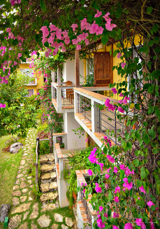 Ramasola Visuals » Flower-Building